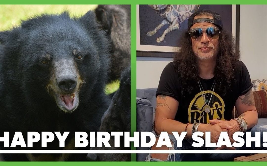 Happy Birthday Slash! – Birthday Songs | BdayPics.com